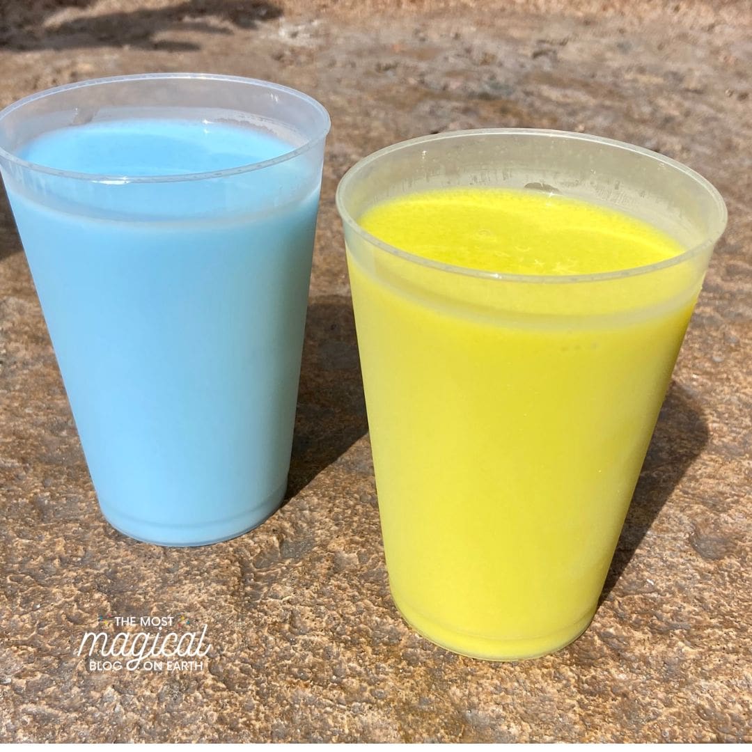 Taste the Magic: Top Disney Snacks to Savor at Hollywood Studios