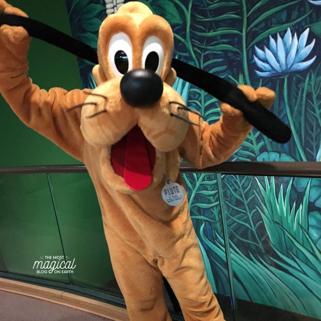 Disney Meet and Greets: Fun Dialogue Tips with Characters