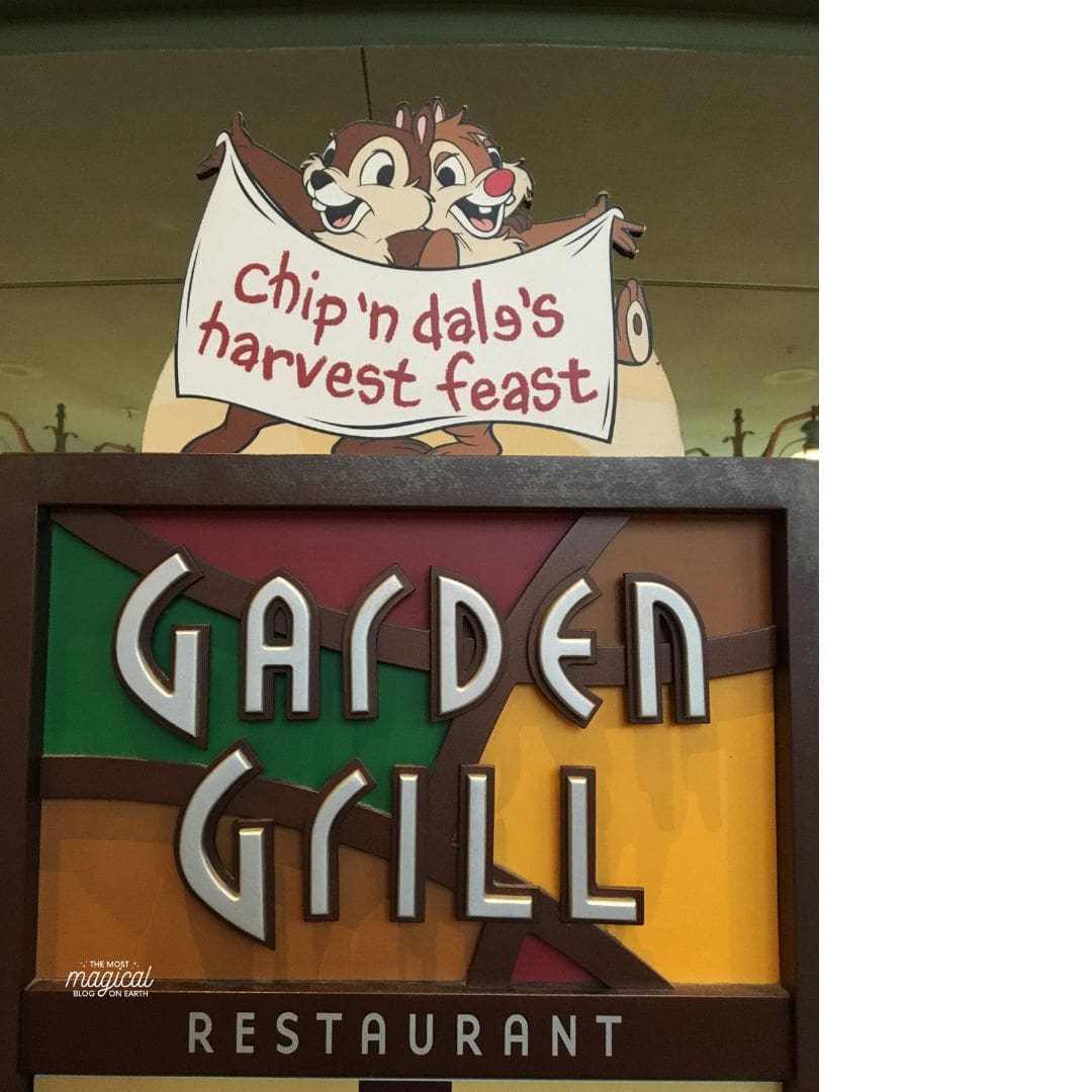 Disney World Garden Grill Review - A Dining Experience