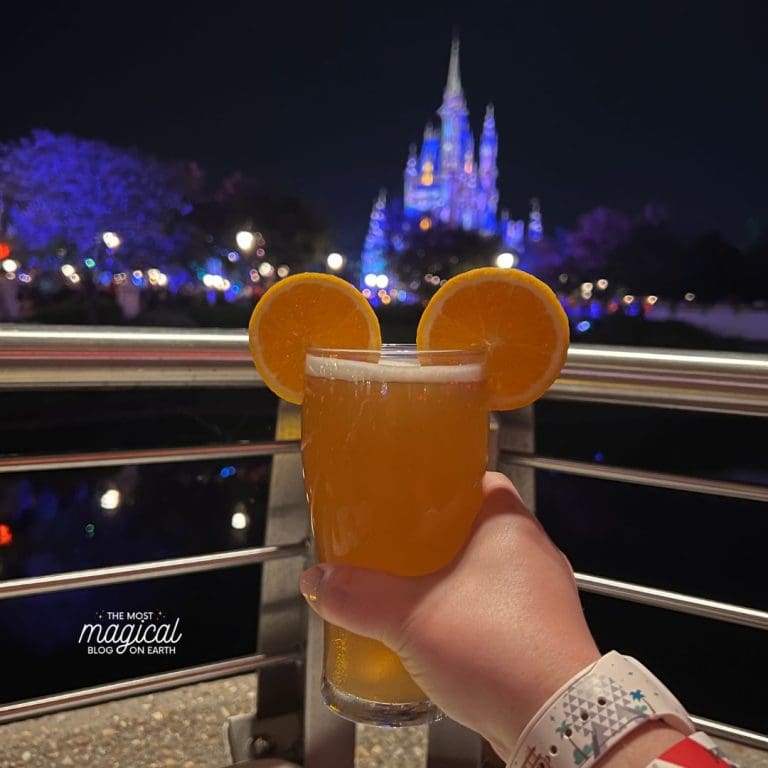 Ultimate Disney World Guide: Beyond the Rides & Attractions